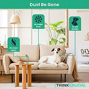 Dyson Vacuum Hose Replacement Compatible - DC07 Part# 904125-14, 904125-07 & 904125-51 - Think Crucial Vacuum Replacement Parts