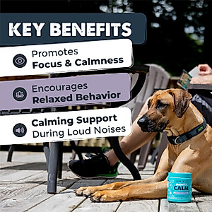 Mighty Paw Waggables Calm (Made in The USA) | Calming Chews for Dogs, Melatonin Dog Calming Treats for Normal Stress & Separation. Sleeping Aid for Dogs & Behavior Calming Dog Treats,120 Count