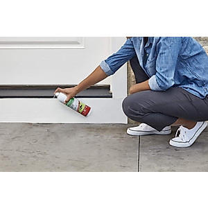 Tomcat Mouse Bundle: Kill & Prevent Mice, 14 oz. Repellent Spray, 2 Press 'N Set Traps, 1 oz. Attractant Gel