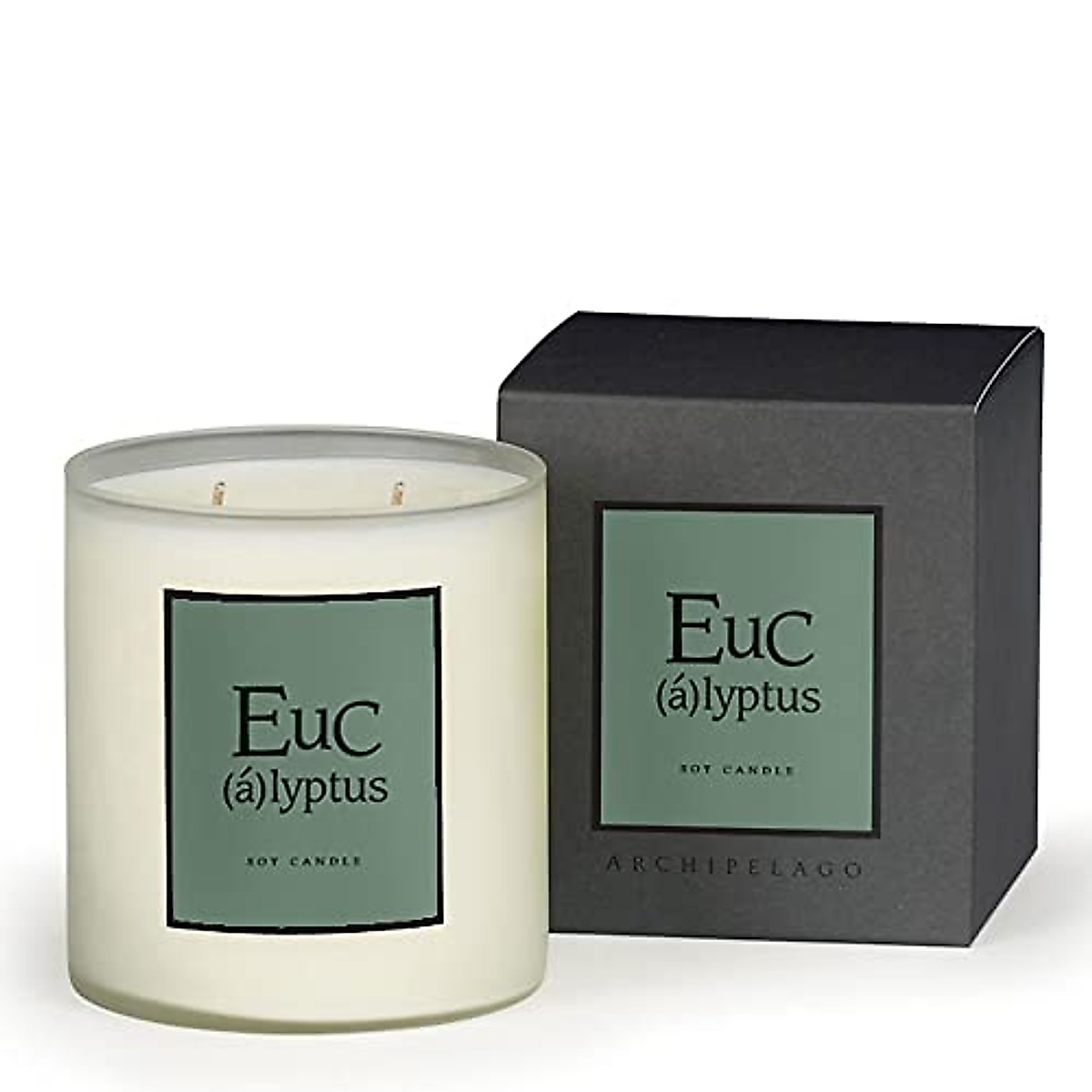 Archipelago Botanicals Eucalyptus Boxed Candle | Wild Eucalyptus, Palm Leaf and Musk | Clean Soy Wax Blend Burns 90 Hours (14 oz)