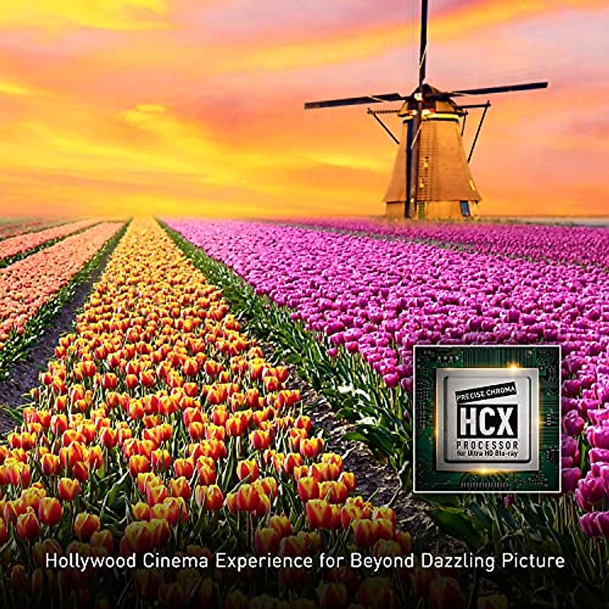 Panasonic Streaming 4K Blu Ray Player with Dolby Vision and HDR10+ Ultra HD Premium Video Playback, Hi-Res Audio, Voice Assist - DP-UB820-K (Black)