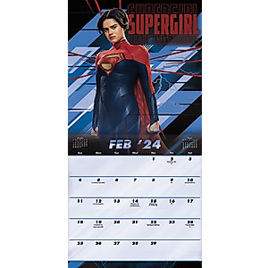2024 DC Comics The Flash Wall Calendar