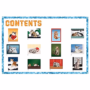 Paint by Sticker: Cats: Create 12 Stunning Images One Sticker at a Time!