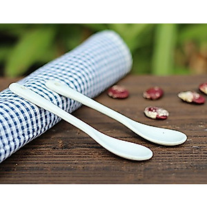 AWHOME White Porcelain Spoons Coffee, Tea, Yogurt and Ice-cream, Cutlery Fitting Ceramic Spoons 5 Inch Set of 10