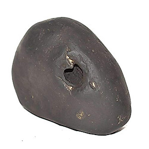 Rudrakshguru Rama Shaligram - Gandaki River Nepal