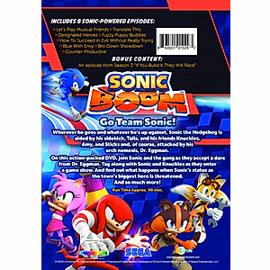 SONIC BOOM: GO TEAM SONIC