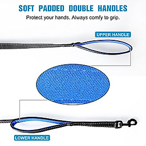 rabbitgoo Dog Leash 6ft Long, Heavy Duty Leash with 2 Padded Traffic Handles, Hands Free Leash for Control Safety Training, Reflective Walking Lead for Small, Medium, Large Dogs