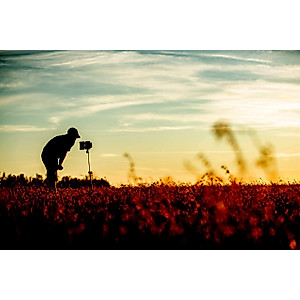 HCO Outdoor Products Spartan GoLive Next Generation Cellular Scouting Camera with Spartan Camera Solar Panel Kit, and Steel Reinforced Strap (AT&T 4GLTE)