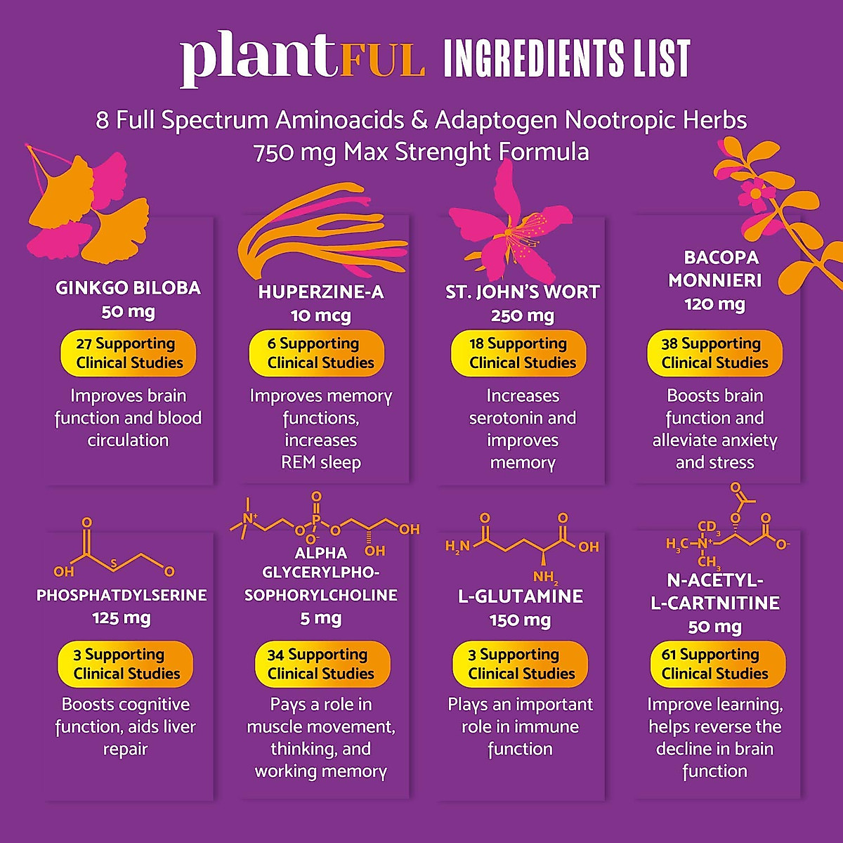 Nootropic Brain Supplement For Focus, Energy, Memory & Clarity Booster | Fast Absorption Brain Vitamins For Adults – Nootropics Pills With Ginkgo Biloba, St Johns Wort, Bacopa Monnieri