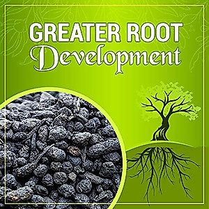 Ho Yoku Bonsai Fertilizer Pellets - Slow Release Bonsai Food That Provides Continuous Feeding During Watering and Encourages Strong Root Health for All Bonsai Trees, Ten Ounces (oz)