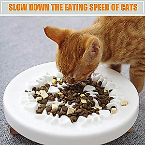 Slow Feeder Cat Bowl,Cat Puzzle Feeder Ceramic Dish with Fish Bone Design,Fun Interactive Slow Down The Eating Speed of Pets,Against Bloat,Indigestion