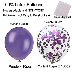 Recosis Birthday Party Decorations, Purple Party Decorations for Boy Girls Men Women Happy Birthday Banner, Curtains Paper Pompoms and Fans Garland Confetti Balloons for Birthday Party Decorations