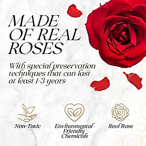 GLAMOUR BOUTIQUE Preserved Roses in a Box - Valentines Day Gifts for Her, wife & Mom, 16-Piece Rose Forever Flowers Decor for Birthday Gift, Get Well Flower Bouquet Cased in White Box with Cover - Red