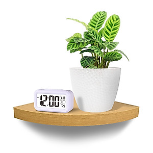 ASAB MDF Floating Corner Shaped Size Wood Wall Shelving Unit-Oak, Standard