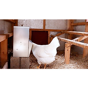 RENTACOOP Galvanized Chicken Trough Feeder, Weatherproof Poultry Food Dispenser with Lid,10LB Capacity