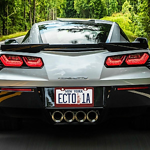 YETTASBIN Christmas Santa Claus License Plate Frames, Decorative License Plate Covers, 2 Packs Universal Aluminum Tag Frame with 2 Holes & Screw Caps for Front and Rear Car Tags, Round Hole