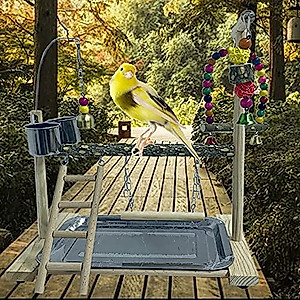 Tfwadmx Bird Playground Parrots Play Stand Birdcage Play Stand Play Gym Parakeet Ladders Exercise with Feeder Cups for Cockatoo Lovebirds SmallBirds Conure Cockatiel Cage Accessories Toy
