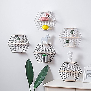 Doremy Floating Shelf,Wall Mounted Modern Simple Geometry Wood Metal Wire Hexagon Plant Flower Wall Decoration Wall Storage Shelves Display Racks Perfect for Bedroom,Living Room,Office (White)