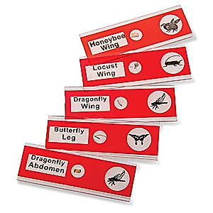 CARSON MM-02 12-Piece Prepared Slide Set (Insects)