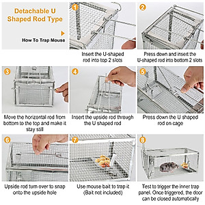 iMounTEK Animal Steel Cage Traps, Humane Live Mouse Trap Reusable Metal Rat Rodent Cage Catch Release Continuous Capture Indoor Outdoor