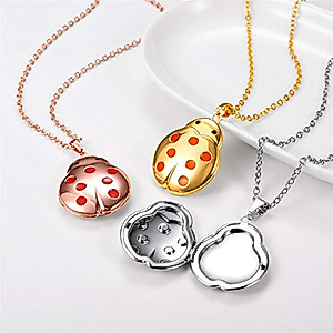 U7 Flying Ladybug Pendant Red Enamel Stainless Steel Unique Animal Shape Photo Locket Pendant Necklace for Women Girls