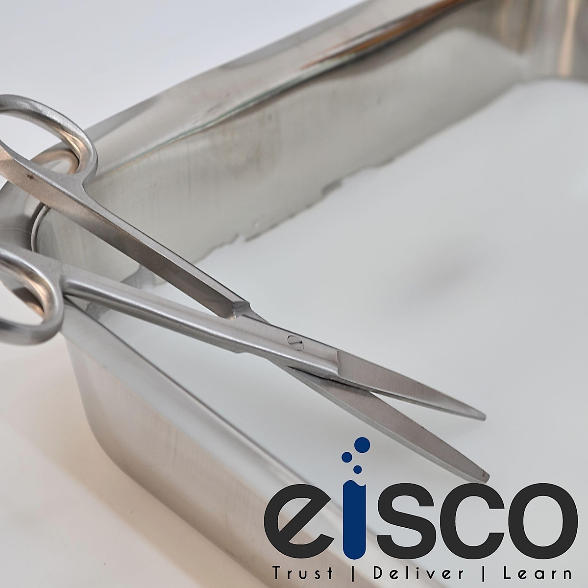Eisco Labs - Metal Dissecting Tray with Wax, 12x9x2" - Stainless Steel Dissection Tray for Biology, Anatomy, Forensic Science & Specimen Pinning, Lab Dissection Trays, Wax-Lined Stainless Trays