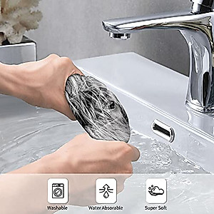 Hand Towel Highland Cows Moorland Face Washcloths Fingertip Bath Towels 27.5 X 15.7 Inch Microfiber Quick Dry Soft Absorbent Luxury Kitchen Dish Cloth for Bathroom Beach Gym Hotel Salon Spa Sport