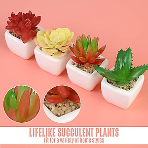 4 Pack Succulent Plants Artificial Fake Succulents in Pots Faux Succulents Fake Plants Bulk Assortment in Flocked Green Small Succulent Holder Decor for Window Landscape Garden Home Office Decor