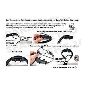 Sparky Pet Co - ECollar Replacement Strap - Bungee Dog Collar - Waterproof - Adjustable - Secure Nexus Wheel Lock - for Electronic Training & Invisible Fence Systems - 3/4" (Black)