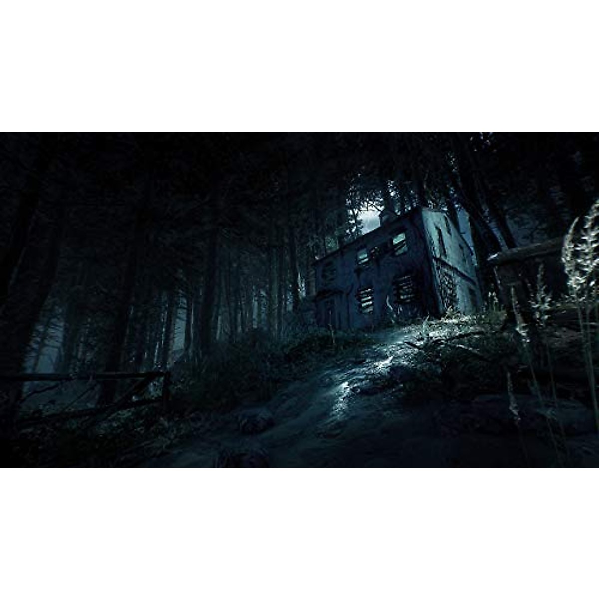 【2020年夏発売予定】ブレア・ウィッチ 日本語版 初回限定版