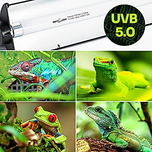 REPTI ZOO 24W Reptile T5 HO UVB Lighting Combo Kit, 22" Light Fixture Reptile Terrarium Hood, with Detachable Curved Reflector and 5.0 UVB T5 Lamp Bulb, ETL certificated