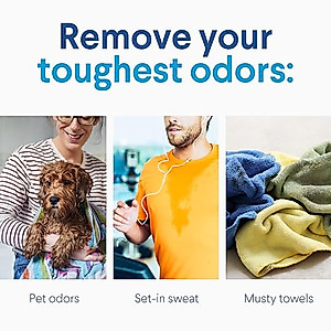 Clorox Laundry Sanitizer, Kills 99.9% of Odor-Causing Bacteria on Laundry, 80 Fl Oz, Pack of 2