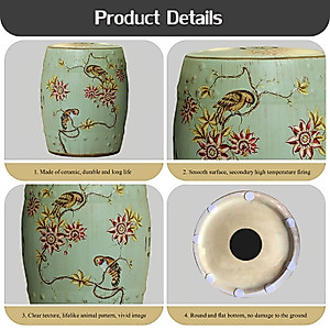 JIADIAONI Decorative Ceramic Garden Stool, Flower and Bird Dressing Stool Shoe Changing Stool, Suitable for Living Room, Balcony, Garden, Etc.