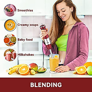 Immersion Blender Hand Blender, Abuler 800W Hand Mixer Stick, 5-in-1, 12 Speed BPA-Free Stick Blender 304 Stainless Steel, Chopper, Whisk, Milk Frother, Beaker, Smoothies, Milkshake, Purée Baby Food, Sauce, Dips, Mayo