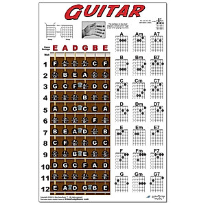 A New Song Music Laminated Guitar Chord & Fretboard Note Chart Instructional Easy Poster for Beginners Chords & Notes 11"x17"