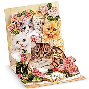 Happy Birthday Cards - Holiday Greeting Card, Graduation, Wedding, Anniversary Cards - for Wife Husband Kids Friends w/ Mailing Envelope - Cats