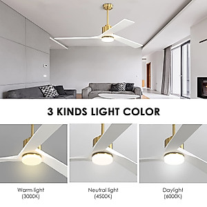 WINGBO 64" DC Ceiling Fan with Lights, 3 Reversible Solid Wood Blades, 6-Speed Noiseless DC Motor, Brass Finish Ceiling Fan with Remote, White