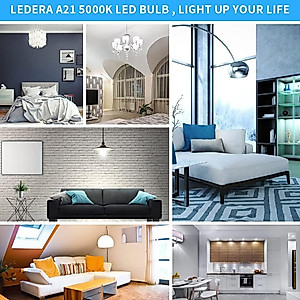 A21 LED Light Bulbs, 150 Watt Equivalent LED Bulbs, Daylight White 5000K, 2500 Lumens, E26 Base, 23W Light Bulbs for Bedroom Living Room Commercial Lighting, Non-Dimmable, Pack of 8