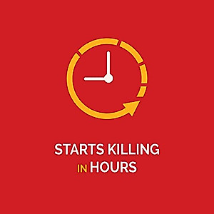 Hot Shot MaxAttrax Ant Bait, 8 Count, Child-Resistant Bait Stations