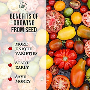 Sow Right Seeds - Galeux d'Eysines Pumpkin Seeds for Planting - Non-GMO Heirloom Packet with Instructions to Plant and Grow an Outdoor Home Vegetable Garden - Unique Squash - Wonderful Gardening Gift