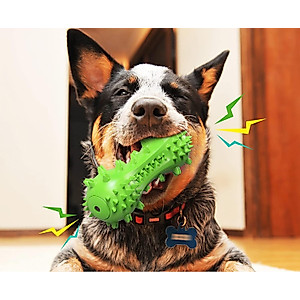 wanijaning Dog Toy, Toothbrush Dogs Chew Squeaky Toys, Durable Bones for Aggressive Chewers, Dental Oral Care for Small, Medium and Large Dogs - Green