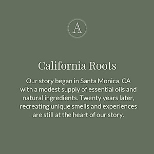 Archipelago Botanicals Oat Milk Lotion, Nurturing and Soothing Daily Lotion for Dry Skin, Scented Body Lotion Free from Parabens, Phthalates and GMOs (18 oz)