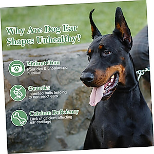 FONDOTIN 5 Sets Ear Erector Ear Muffs Dog Ear Stand up Tape Dogs Ear Vertical Holder Doberman Ear Support Tape for Dogs Ears Ear Drops for Dogs Tweezers Dogs Ear Care Dog Blow Dryer Plastic