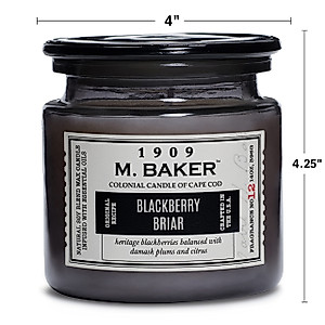 Colonial Candle BlackBerry Briar Scented Jar Candle | 2-Wick Natural Soy Blend Wax Candle for Home | Relaxing Aromatherapy Candle Infused with Essential Oils | M. Baker Apothecary Glass Jar Candle