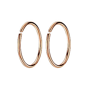 Rose Gold Small Hoop Earrings for Cartilage Nose, 8mm Rosegold Piercing Hoop Ring 18 Gauge Nose Rings Hoop 18G Tragus Helix Daith Rook Snug Piercing Rings 2 Pieces Ear Lobe Earrings