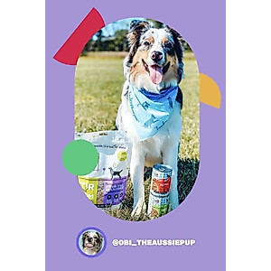 I AND LOVE AND YOU Wet Dog Food - Gobble It Up Stew - Turkey Recipe, Grain Free, Filler Free 13oz can, 12pk