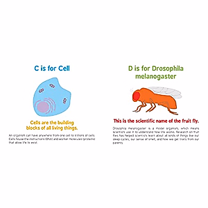 ABCs of Biology: An ABC Board Book of First Biology Words from the #1 Science Author for Kids (STEM and Science Gifts for Kids) (Baby University)