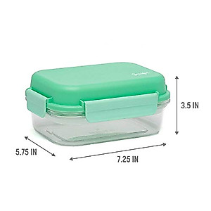 Goodful Lunch Box with Removable Ice Pack,Leak Proof Lid, Microwave Safe, Freezer Safe, Dishwasher Safe, Made from Tritan Material- Keeps odor, tastes and Stain Free, 4.23 Cups