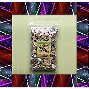 Insectsales.com Live Ants for Ant Farms with Free Ant Food (40 Healthy Western Harvester Ants) (Ants + Ant Food)