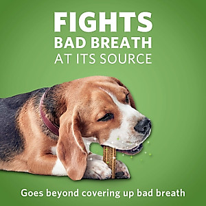 Purina DentaLife Dental Care Small/Medium Dog Chews, ActivFresh Daily Oral Care - 35 ct. Pouch